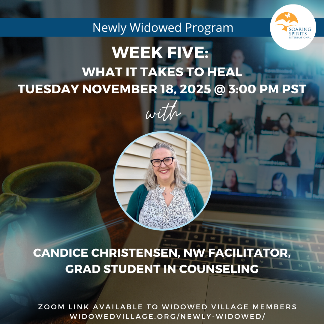 What It Takes to Heal - Widowed Village